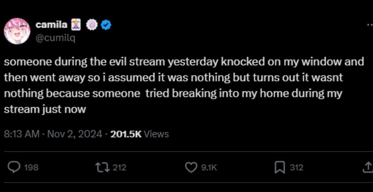 "It was a stalker" - VTuber Camila updates the community following ...