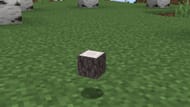 How to get pale oak wood in Minecraft