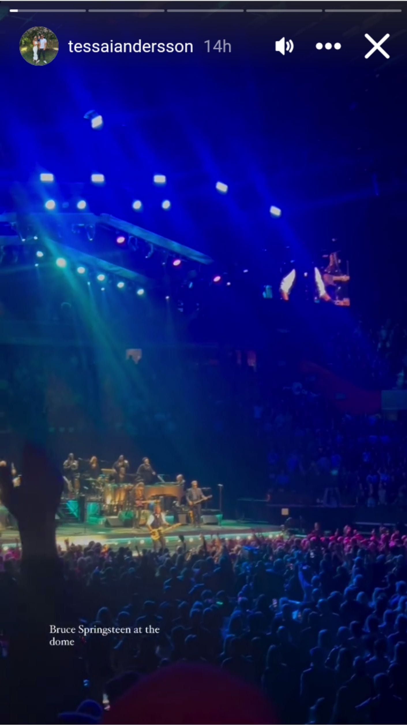 Calgary Flames players' partners attend Bruce Springsteen concert at ...