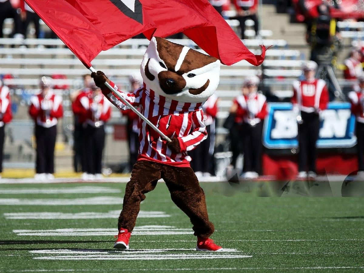 How Many Bucky Badgers Are There?