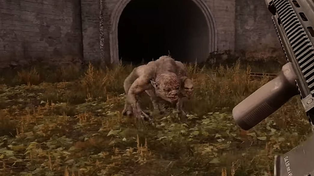 All mutants in Stalker 2