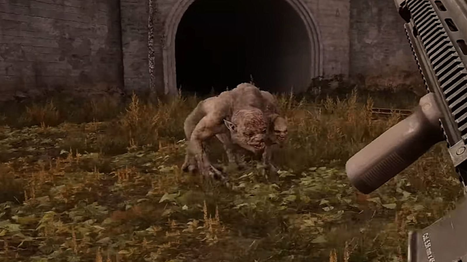 All mutants in Stalker 2