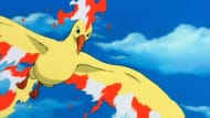 Pokemon TCG Pocket: Best Moltres ex deck guide