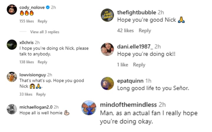 "I really hope you're doing okay" - Concerned fans react under Nick ...