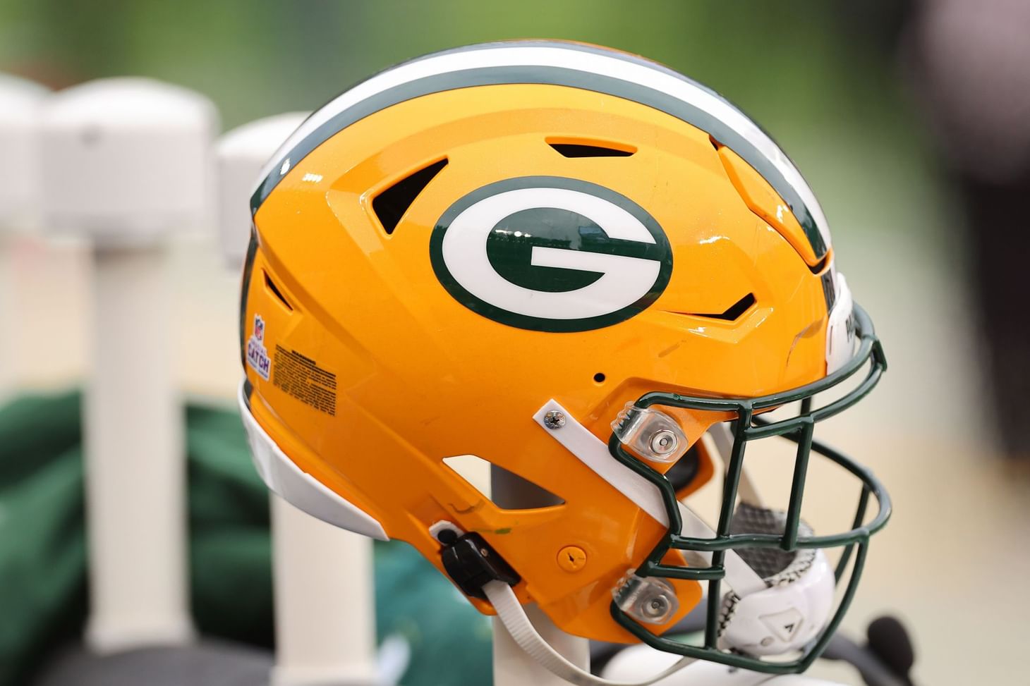 Green Bay Packers Playoff History, Appearances, Wins and more