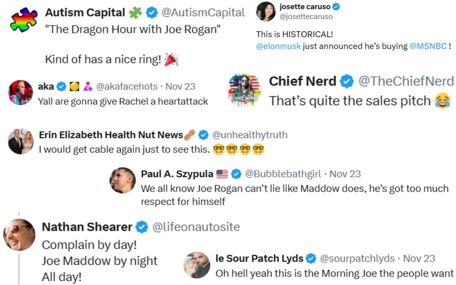 Elon Musk's one-word reply to Joe Rogan's "Rachel Maddow" pitch after ...