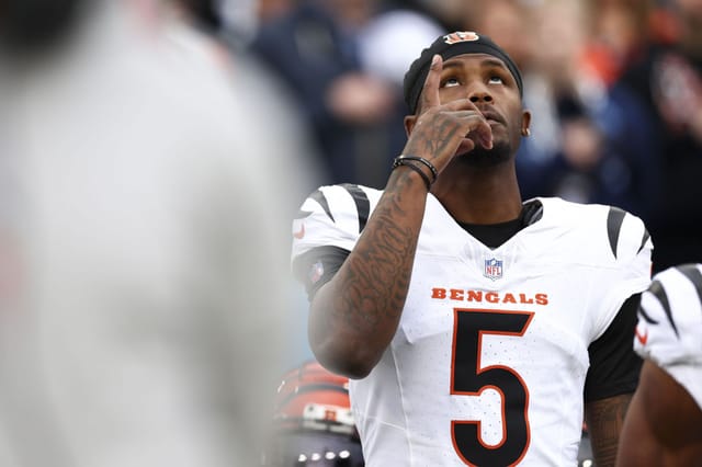 Tee Higgins' mom has 4-word reaction to WR's heroics after Bengals ...