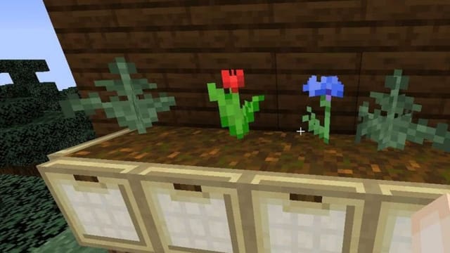 Where to find ferns in Minecraft