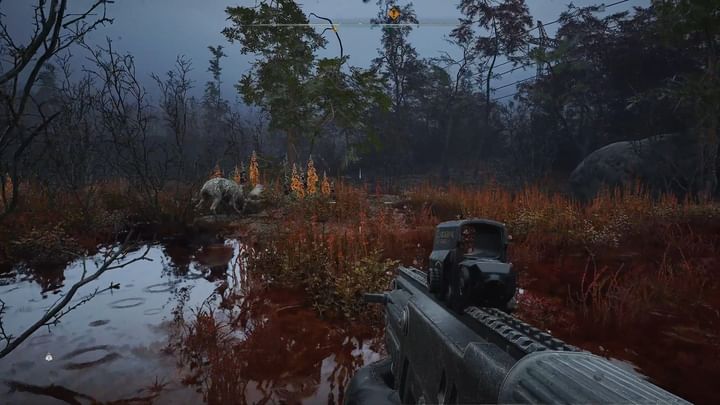 Stalker 2 walkthrough: How to complete Gray's Last Hunt side mission