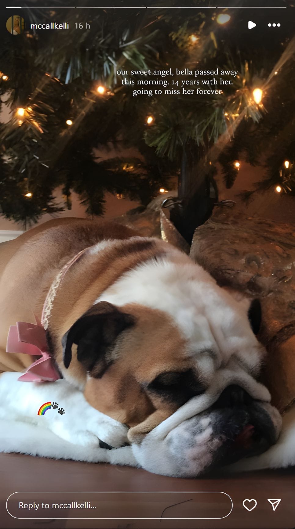 Zane Smith’s wife McCall has three-word praise after the death of her ...