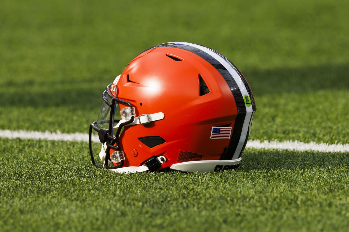 Cleveland Browns Playoff History, Appearances, Wins and more