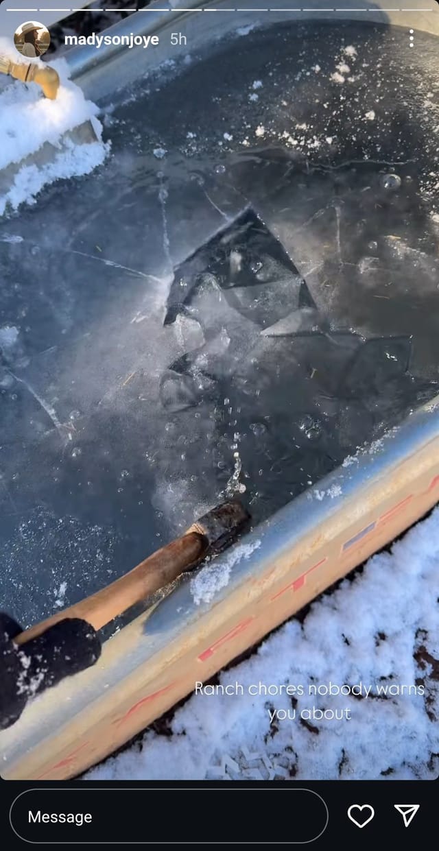 Millionaire Ricky Stenhouse Jr.'s wife Madyson 'not complaining' about ...