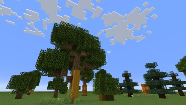 How to grow big trees in Minecraft