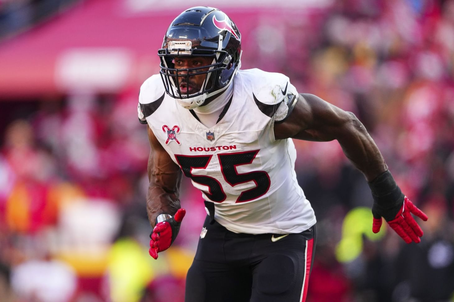 Who Are Danielle Hunter's Parents? Meet Cheikh Ndiaye and Kimara Bonitto.