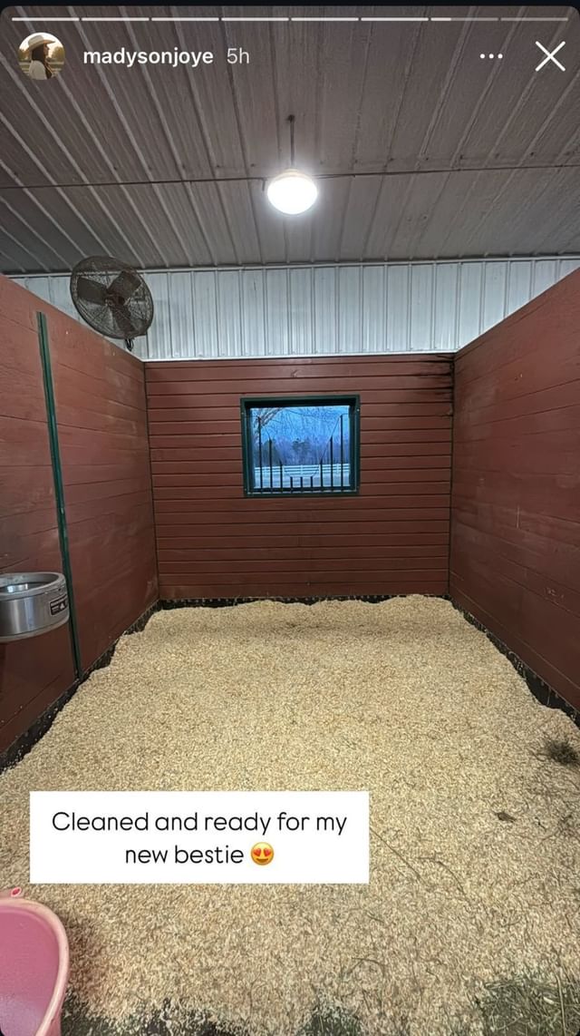 Ricky Stenhouse Jr.'s wife Madyson shares her 'new bestie's' home ...