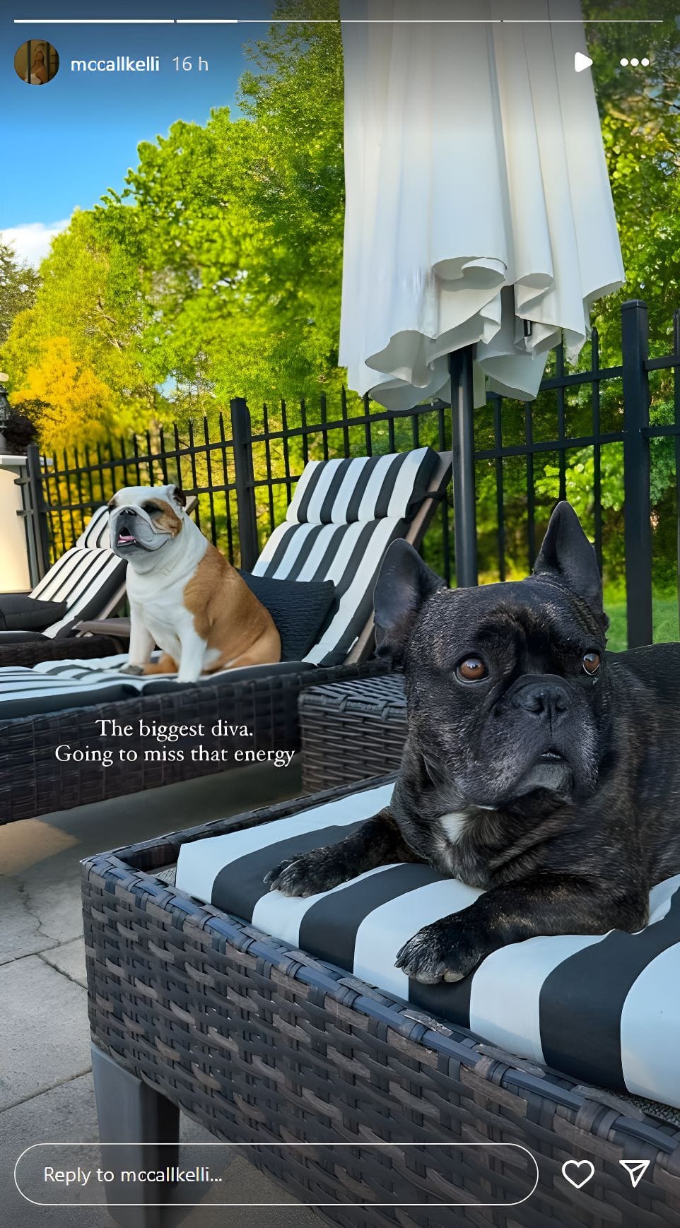 Zane Smith’s wife McCall has three-word praise after the death of her ...