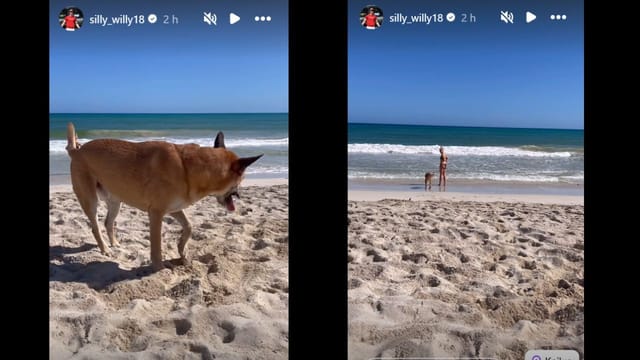 Josh Naylor's fiancee Chantel Collado, Bo Naylor and his girlfriend ...