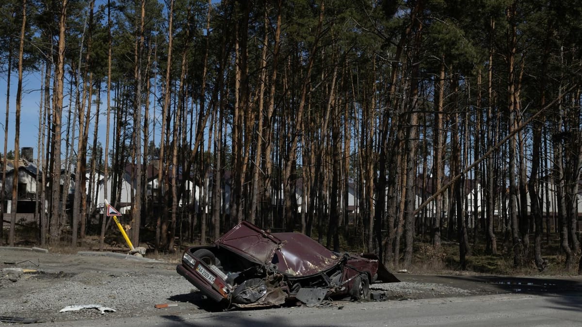 Where are the members of the Sun Gym gang now? Details explored ahead ...