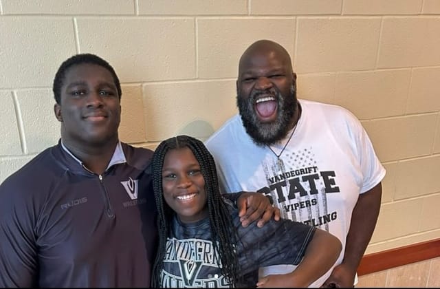 Who is Mark Henry Wife?