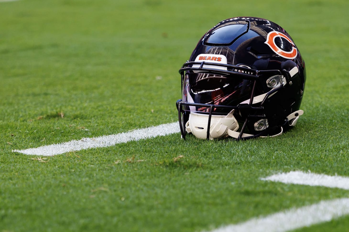 Chicago Bears Playoff History, Appearances, Wins and More