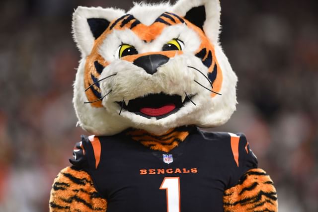 List of mascots in the National Football League (NFL)