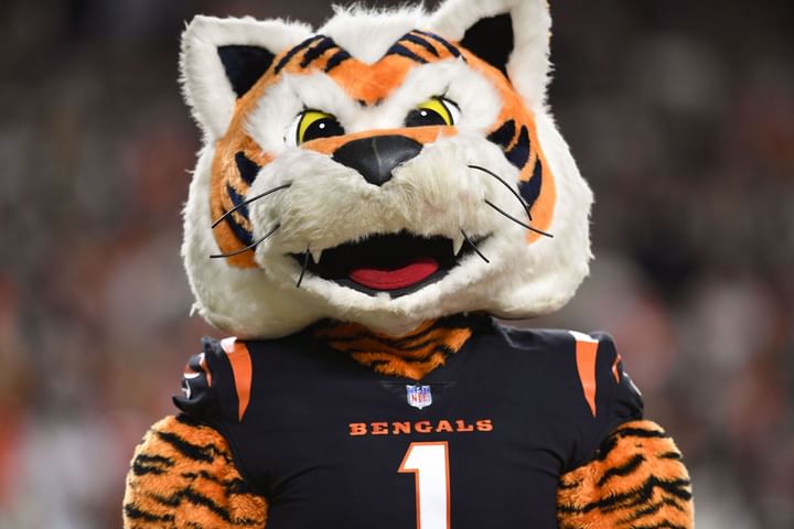 List of mascots in the National Football League (NFL)