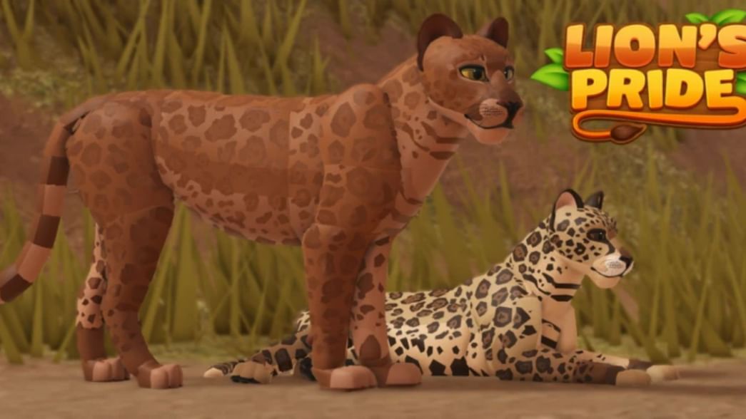 A Lion’s Pride: A beginner's guide