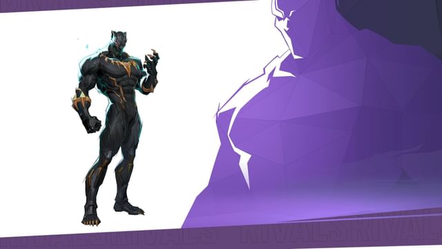Marvel Rivals Black Panther guide: Abilities, how to play, and more
