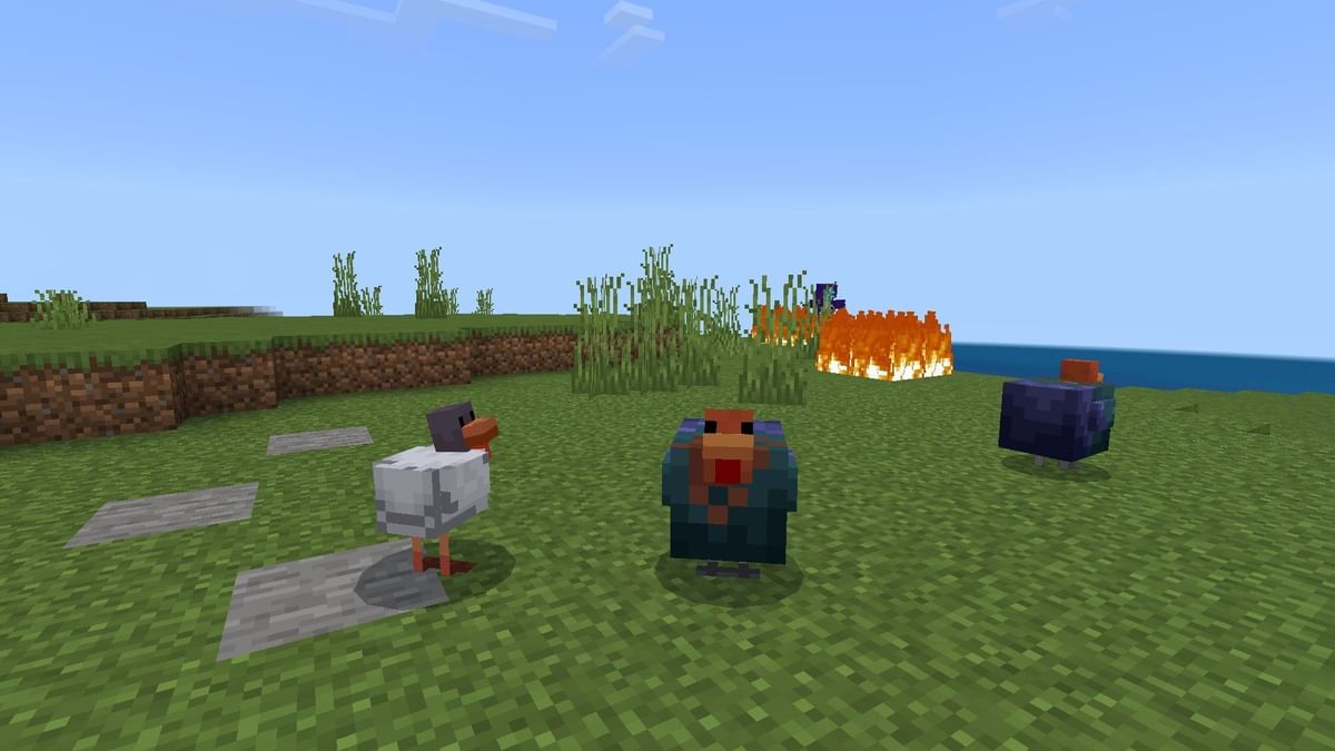 How would Minecraft benefit from chicken variants?