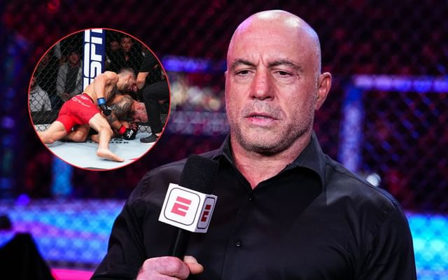 5 UFC moments in 2024 that got the wildest reactions from Joe Rogan and ...