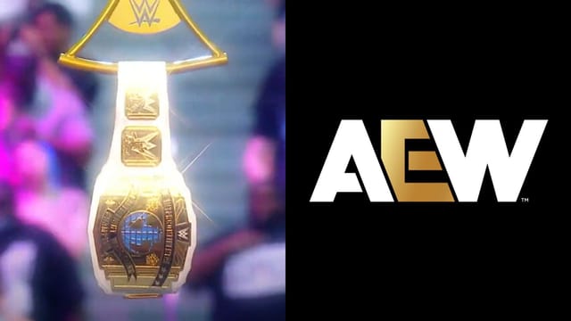 3-time WWE Intercontinental Champion defends AEW against fan attack