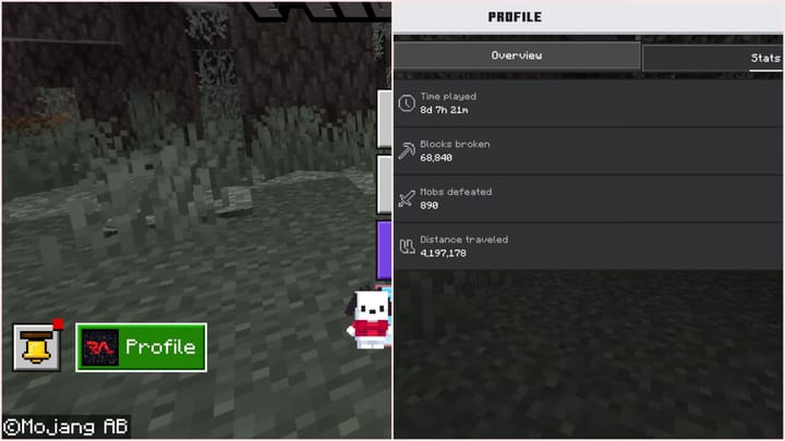 How to check how many hours you have in Minecraft