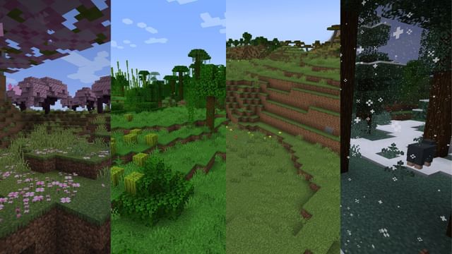 4 most beautiful Minecraft biomes to build in