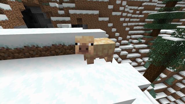 Where to find all Minecraft pig variants