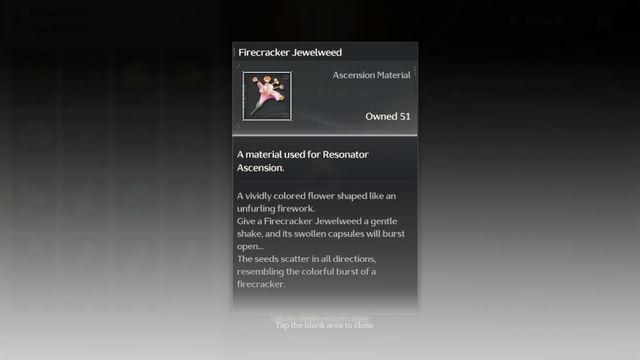 Wuthering Waves Phoebe Ascension materials