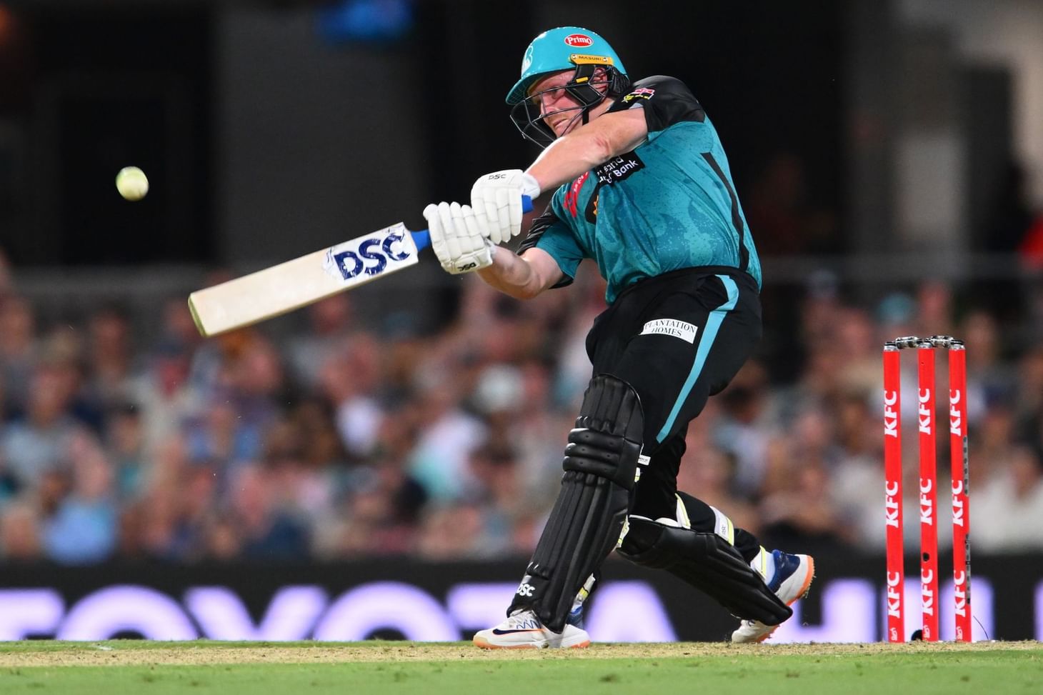 [Watch] Glenn Maxwell pulls off stunning boundary catch in BH vs MS BBL ...