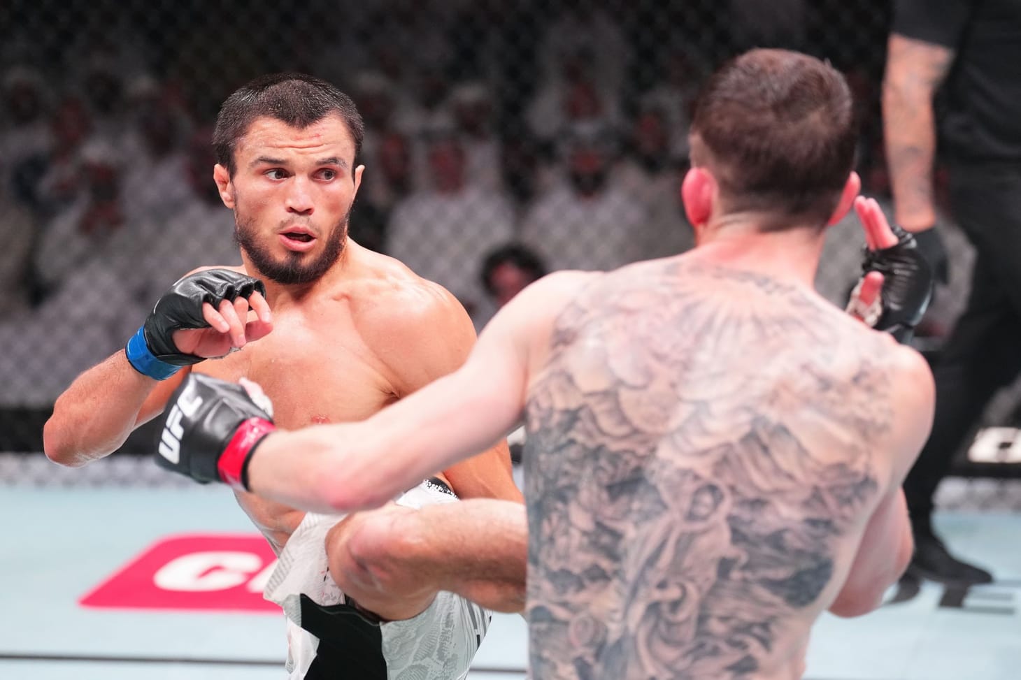 Umar Nurmagomedov's next fight