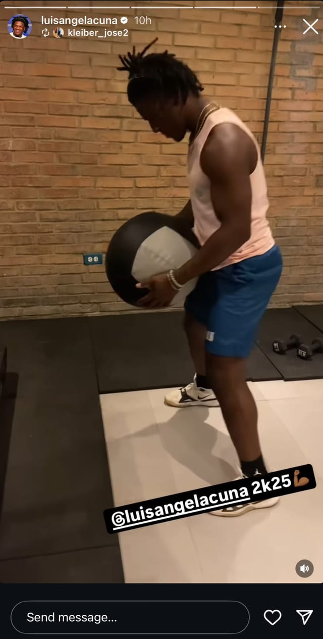 Ronald Acuna Jr.'s brother Luisangel shows off intense gym workout ...