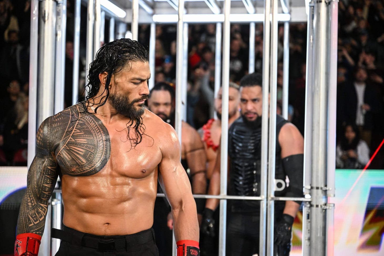 Roman Reigns WWE | News, Rumors, Photos & More