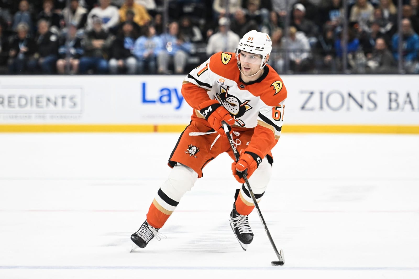 Cutter Gauthier biography and more..