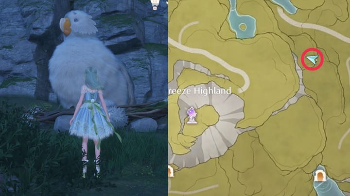 Infinity Nikki: Sky Monarch locations and how to ride