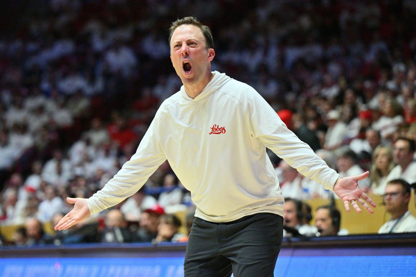 New Mexico Lobos Basketball coach