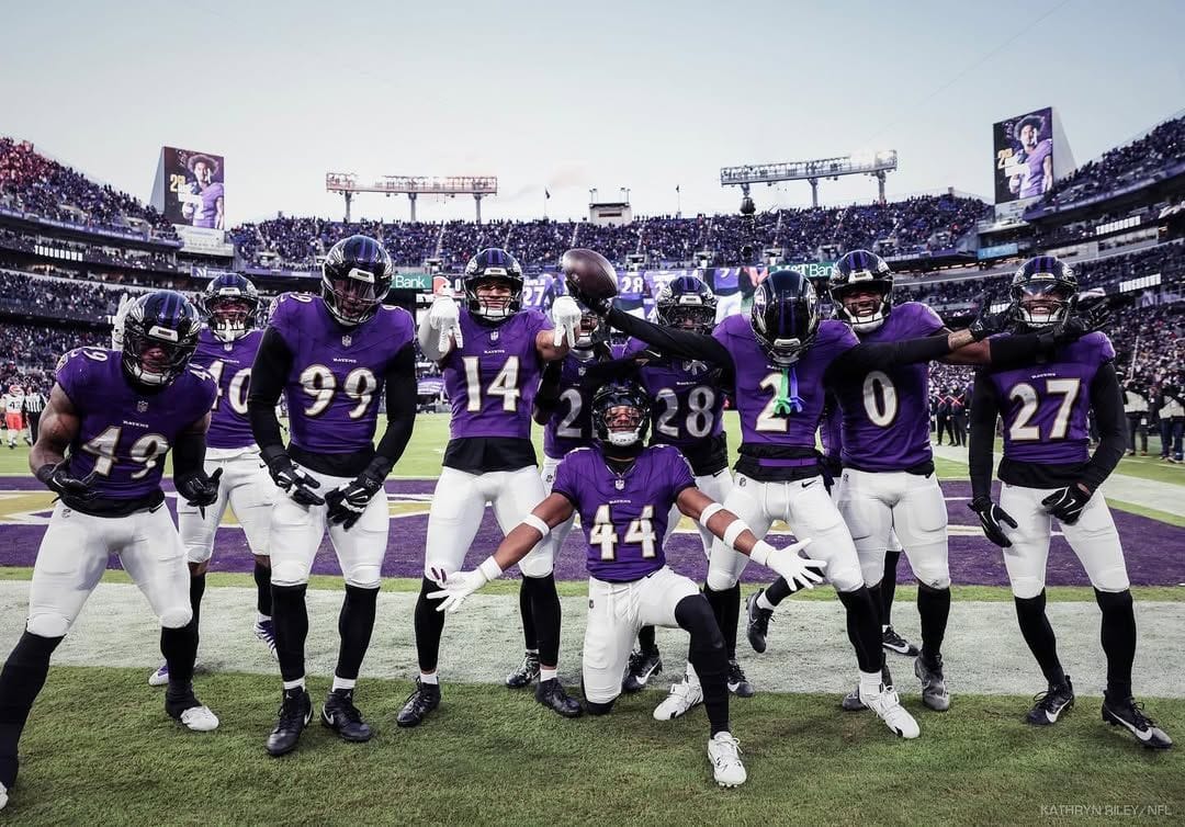 Baltimore Ravens Playoff History, Appearances, Wins and more