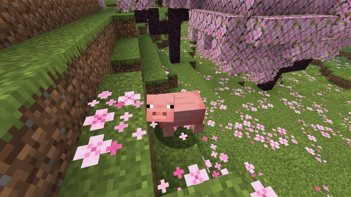 Where to find all Minecraft pig variants