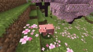 Where to find all Minecraft pig variants