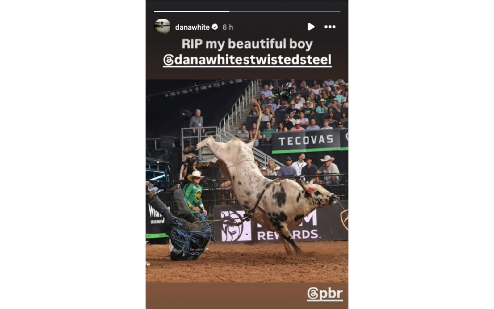 Dana White posts emotional message for 'Twisted Steel' after the prized PBR bull’s passing due ...