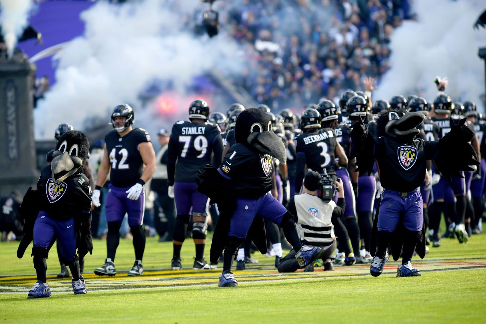 Who is the Baltimore Ravens' Mascot The Poe?