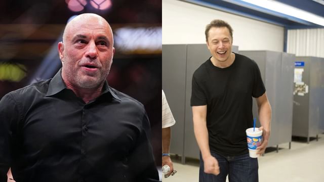 Elon Musk shares six word response to Joe Rogan's eye-opening discussion about psychedelics and PTSD