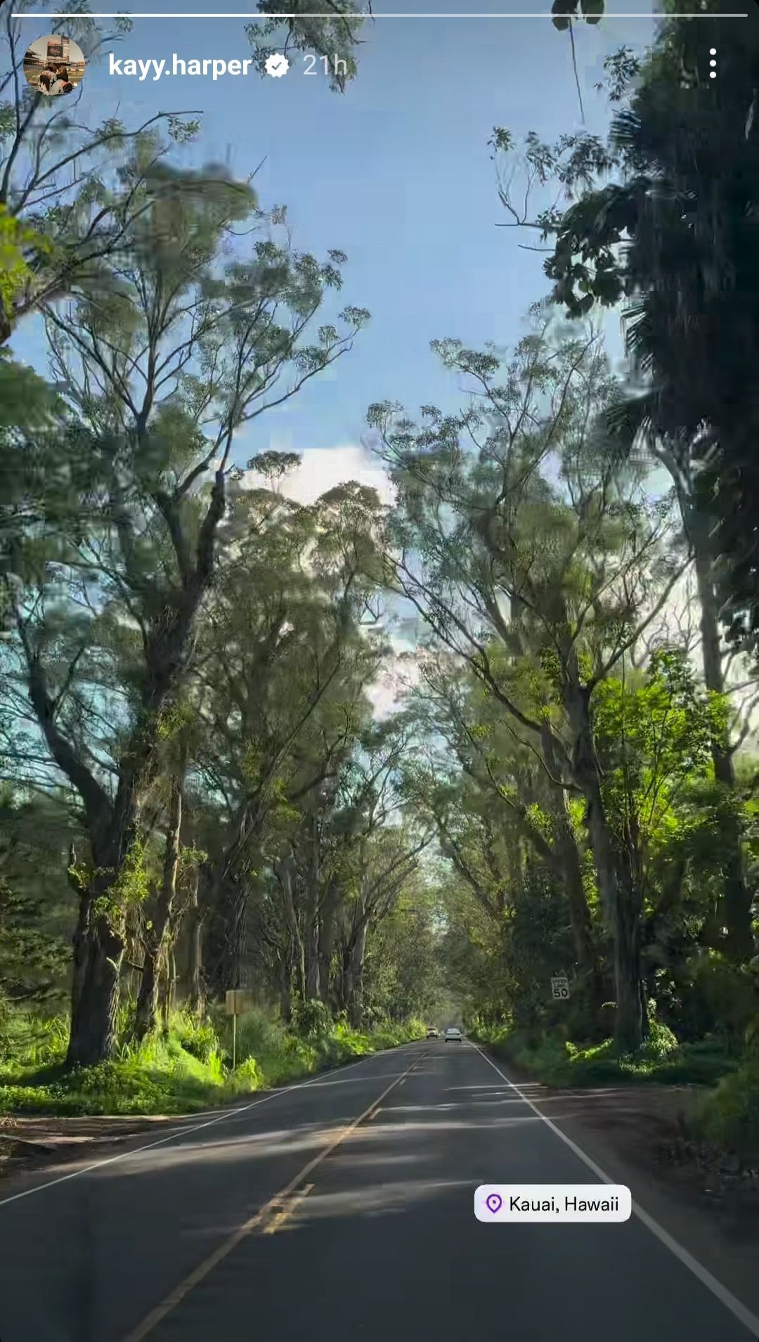 Bryce Harper's wife Kayla captures scenic car ride through lush ...