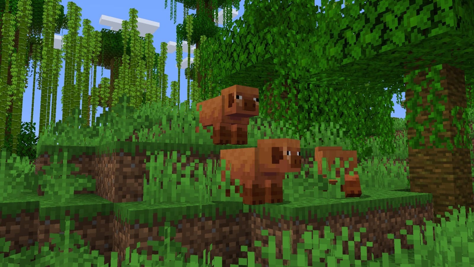 Minecraft reveals two new pig variants for the next update